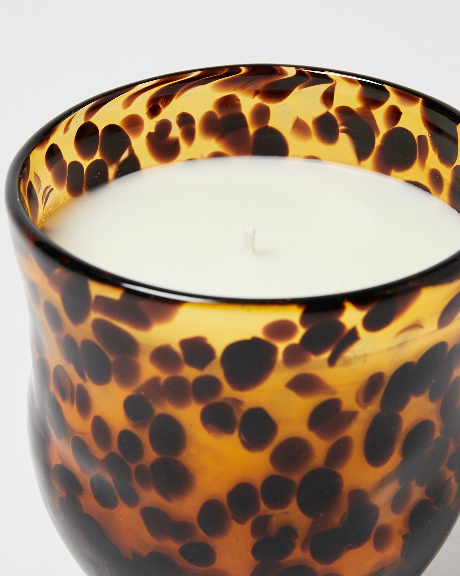 giant tortoise shell candle