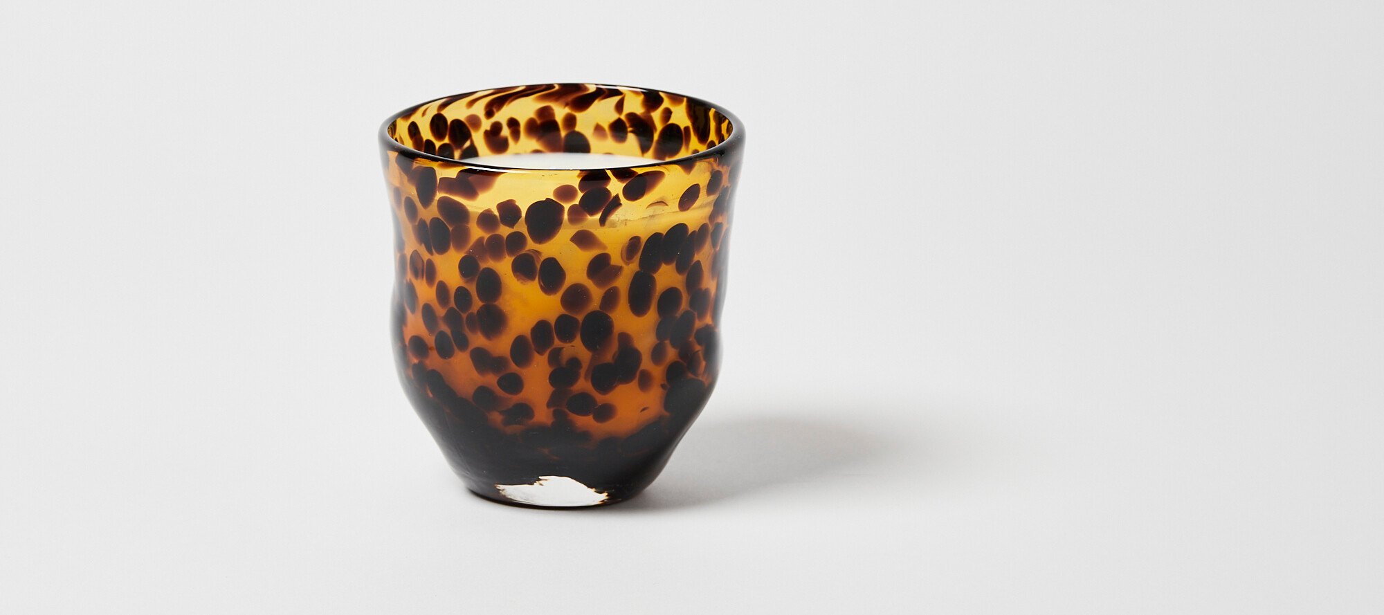 giant tortoise shell candle