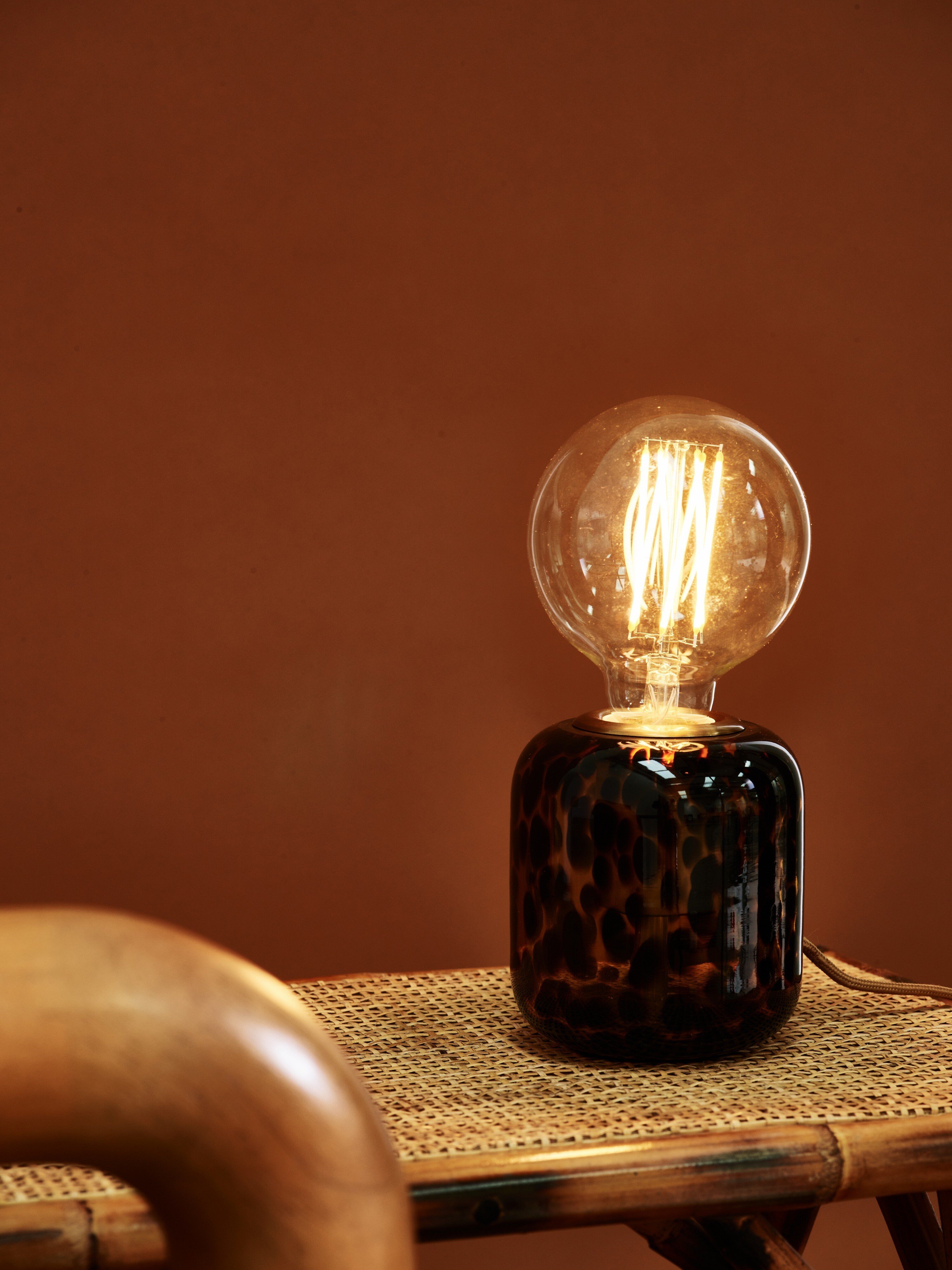 tortoise shell light