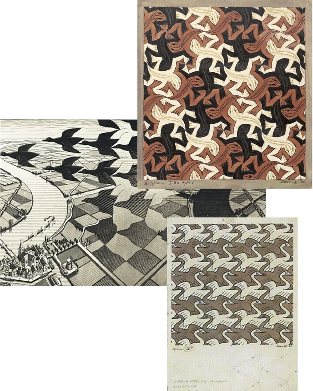 Behind The Design: The Ocelot Print | Oliver Bonas