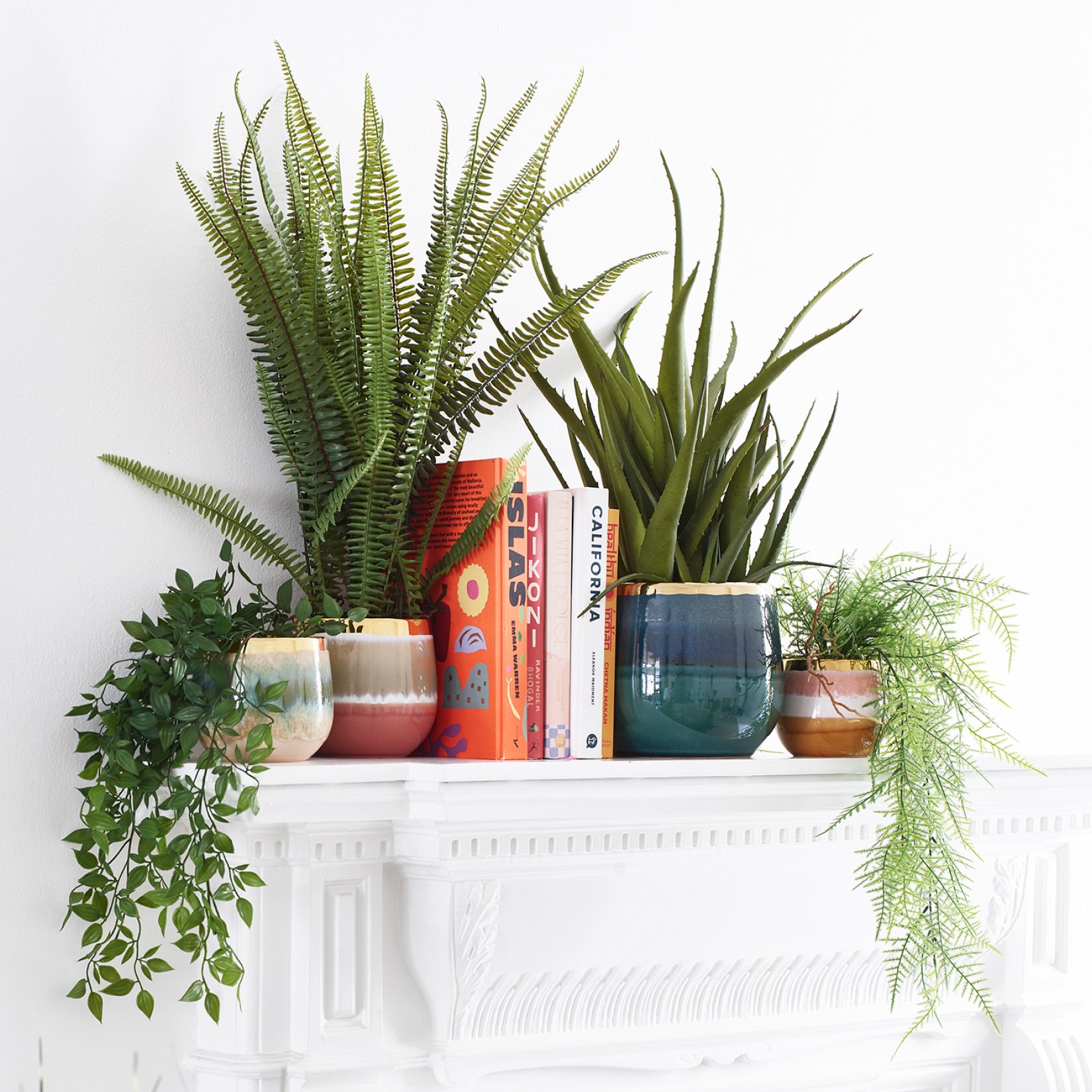 How to Pick the Perfect Pot for Your Plant | Oliver Bonas