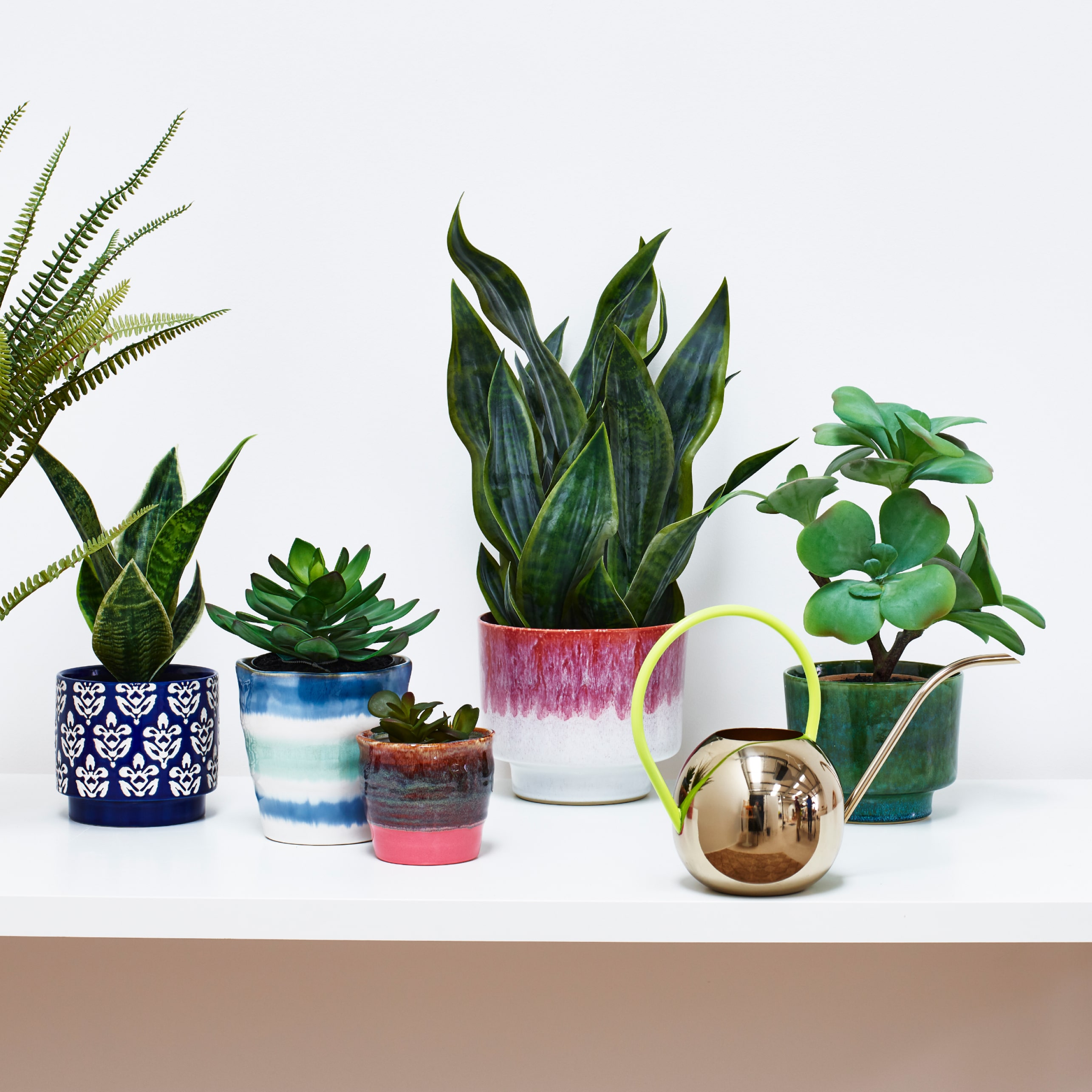 How to Pick the Perfect Pot for Your Plant
