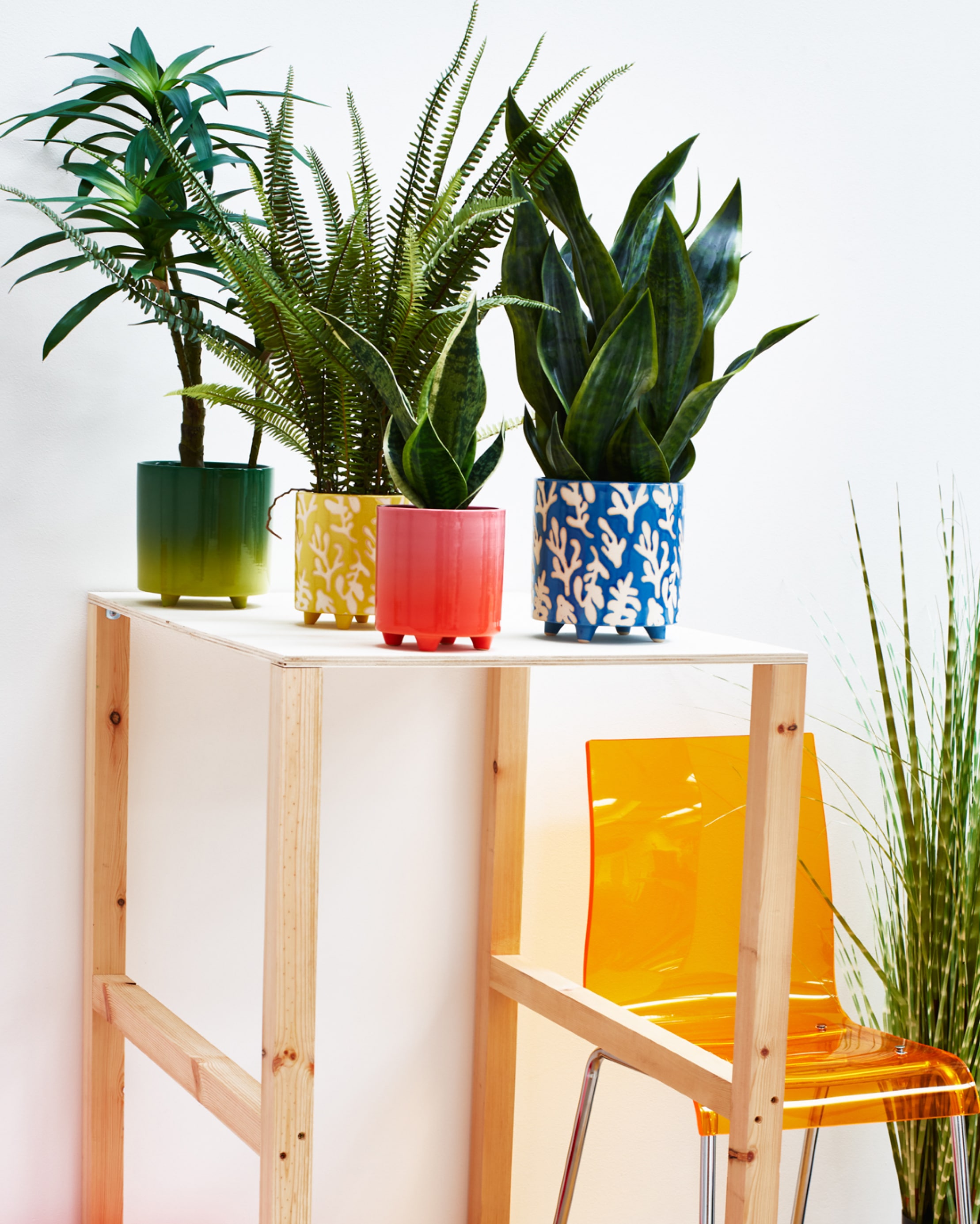 How to Pick the Perfect Pot for Your Plant