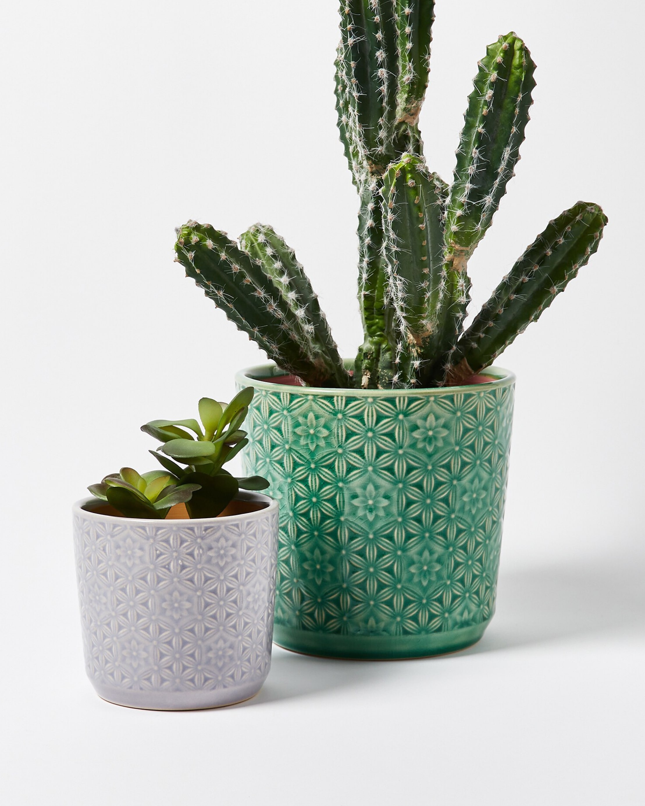 How to Pick the Perfect Pot for Your Plant