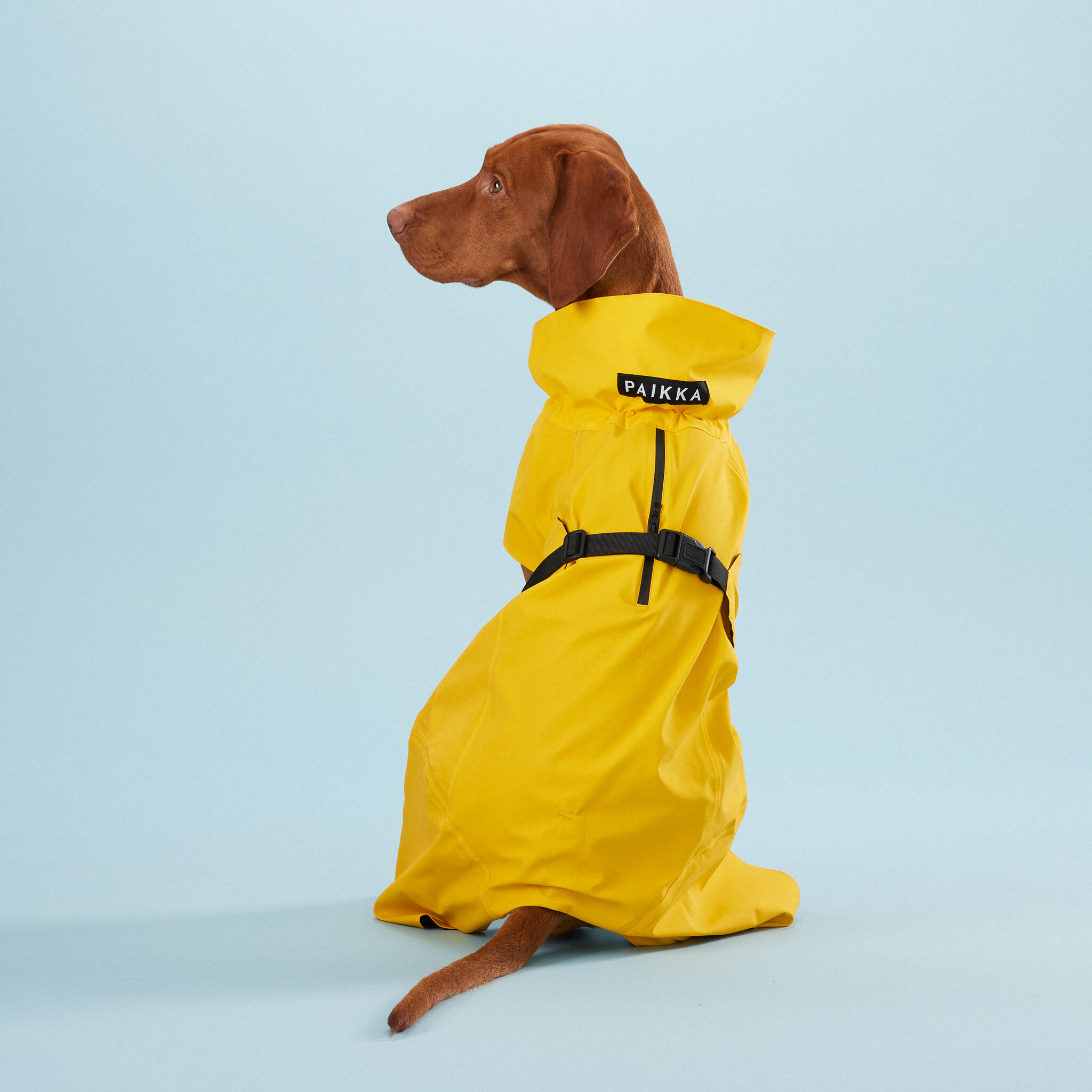 Waterproof Yellow Dog Raincoats | Oliver Bonas