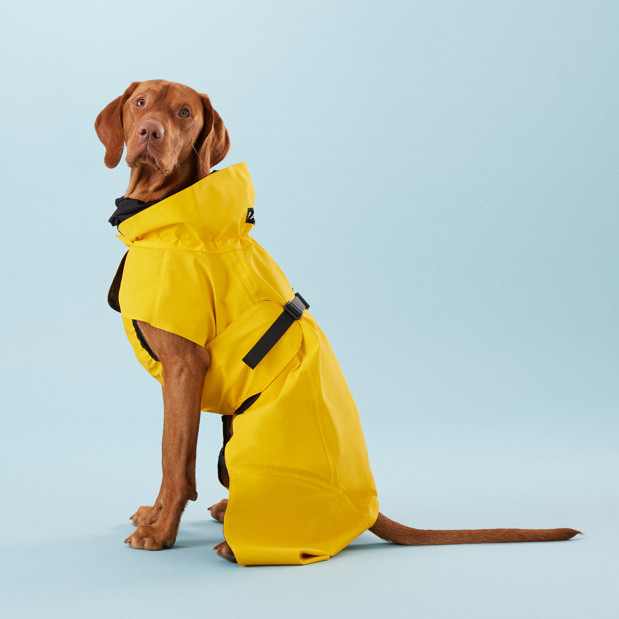 Waterproof Yellow Dog Raincoats | Oliver Bonas