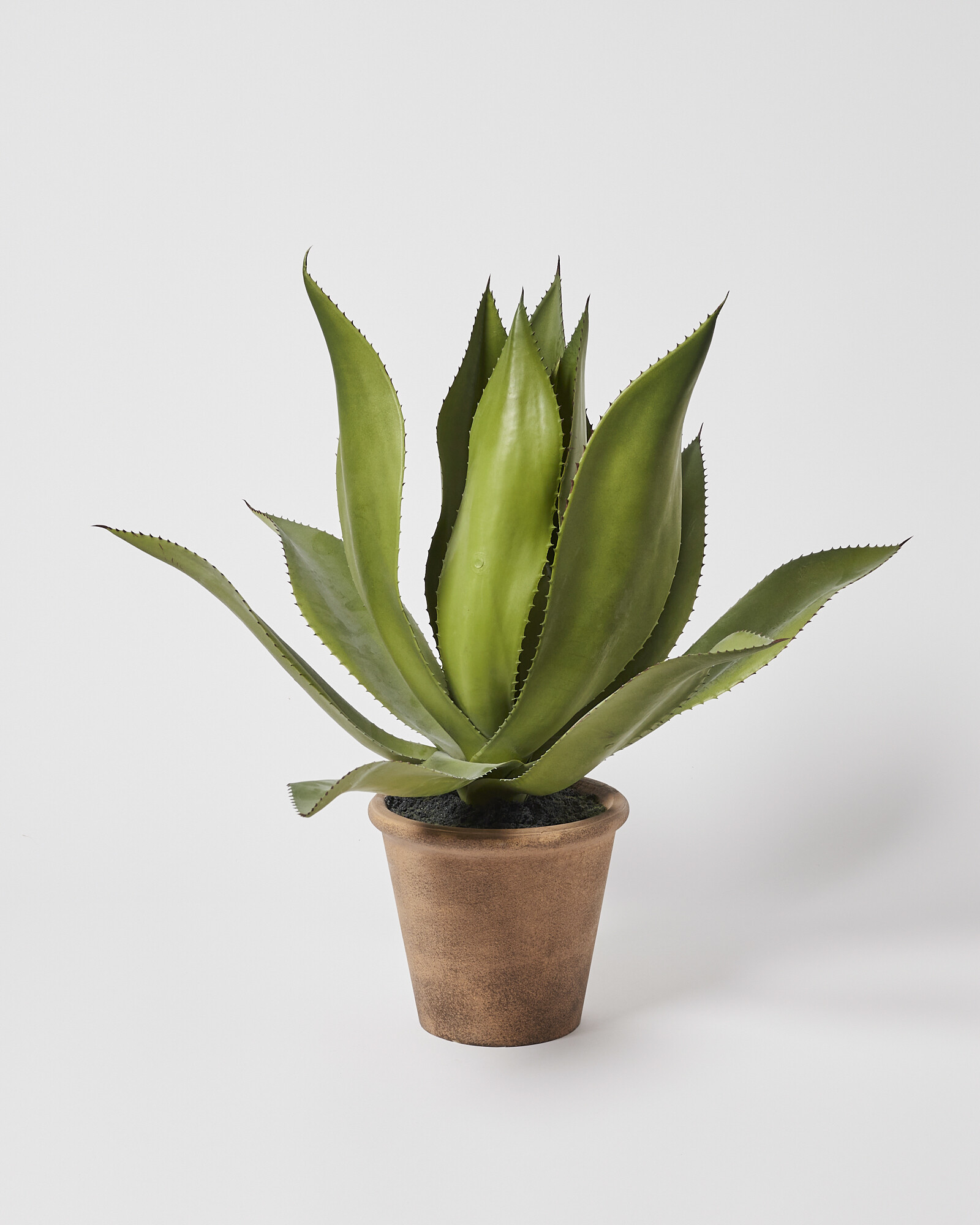 Yucca Agave Artificial Plant | Oliver Bonas