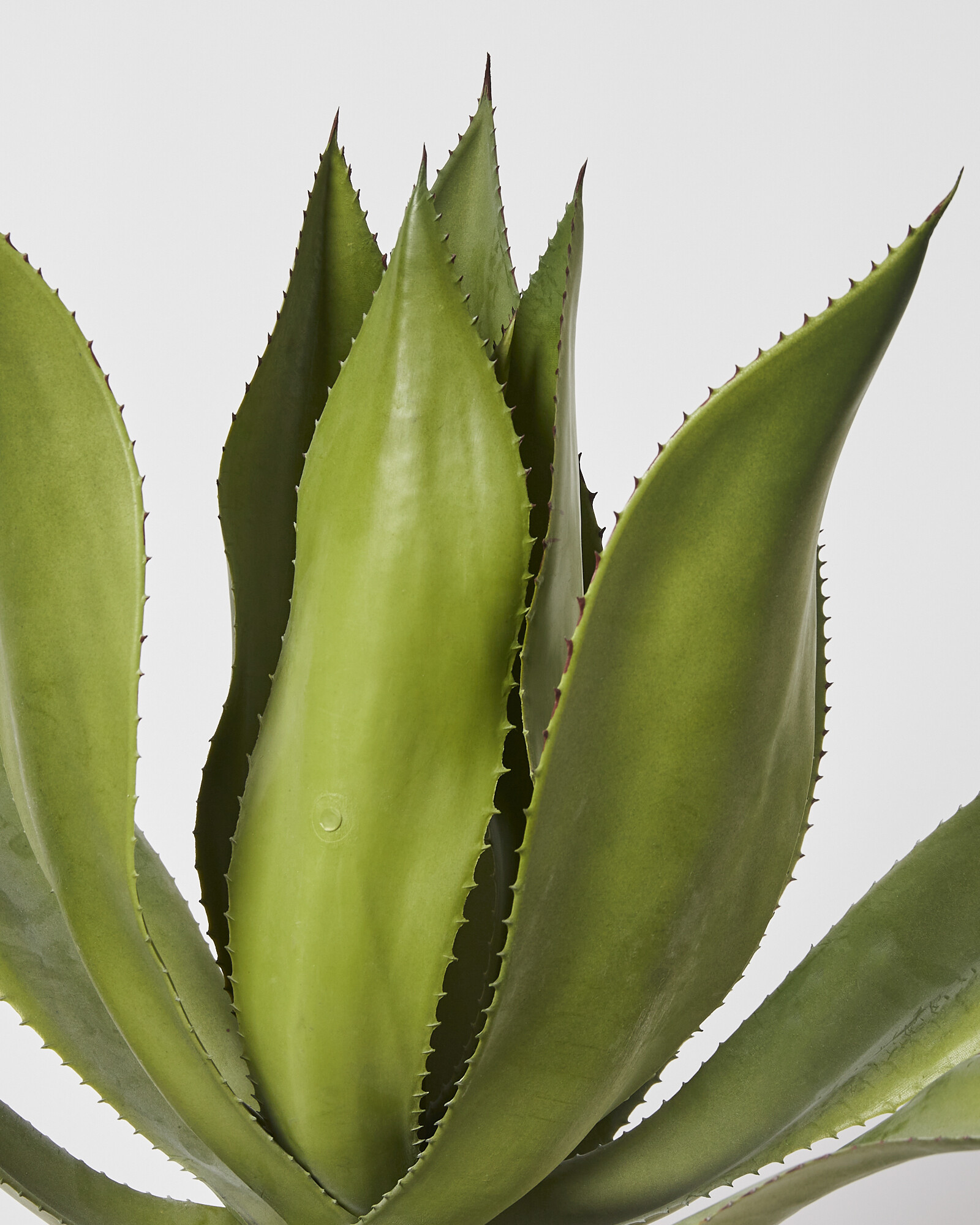 Yucca Agave Artificial Plant | Oliver Bonas