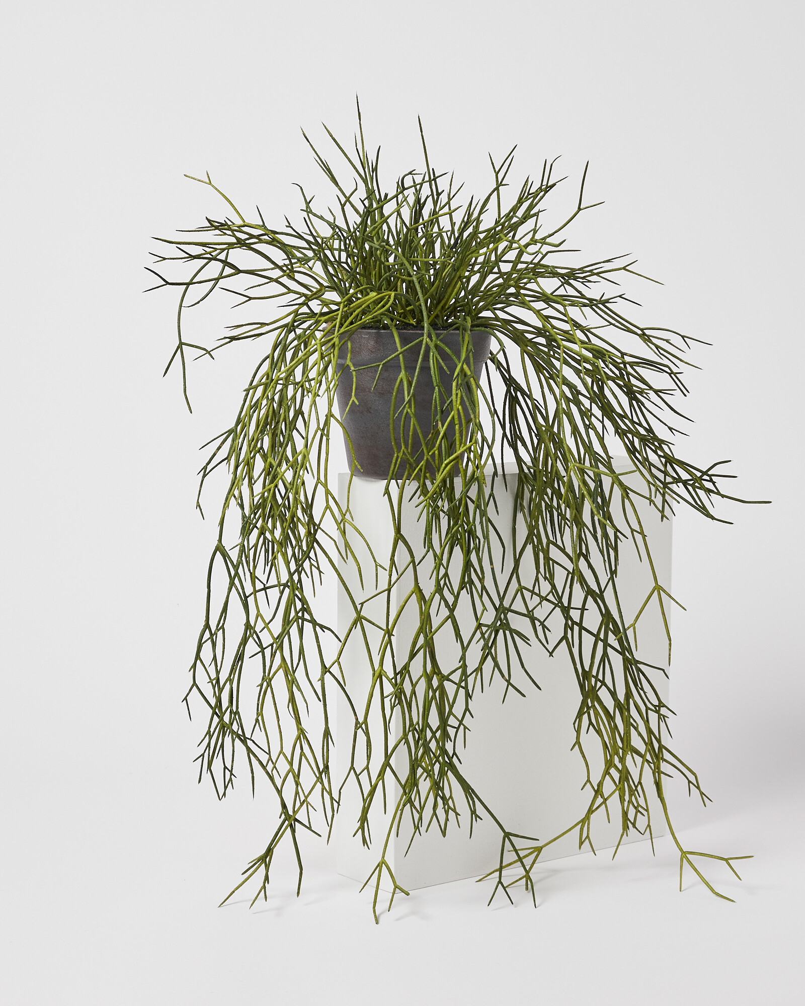 Hanging Grass Artificial Plant | Oliver Bonas