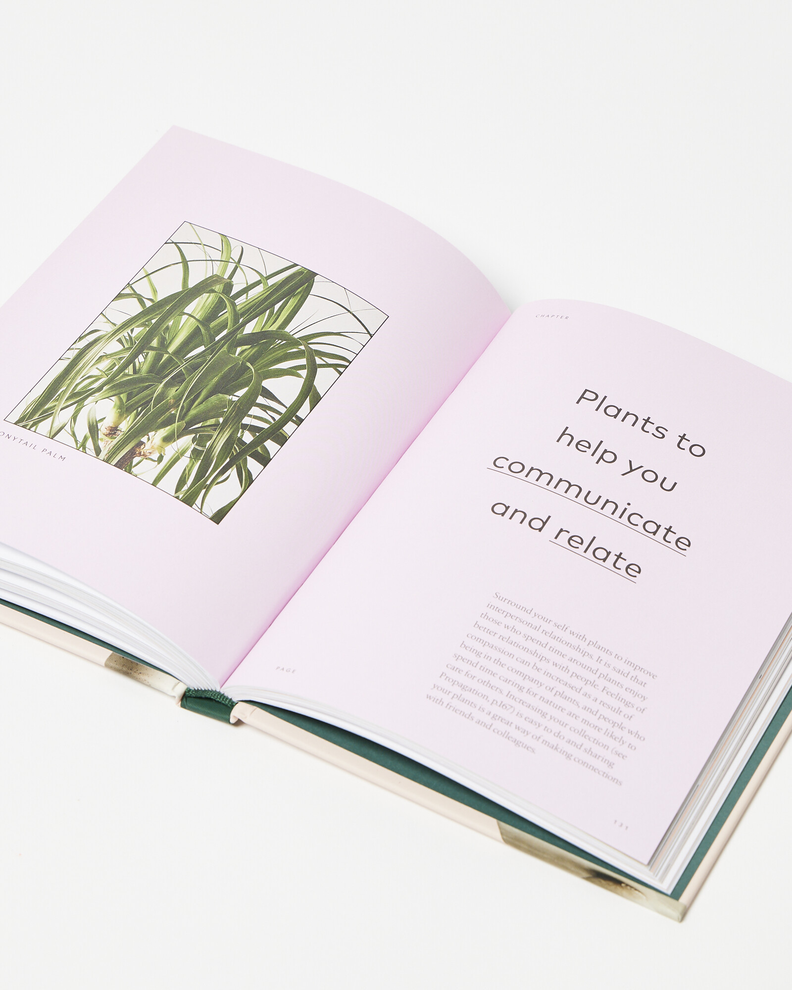 The Healing Power of Plants Book | Oliver Bonas