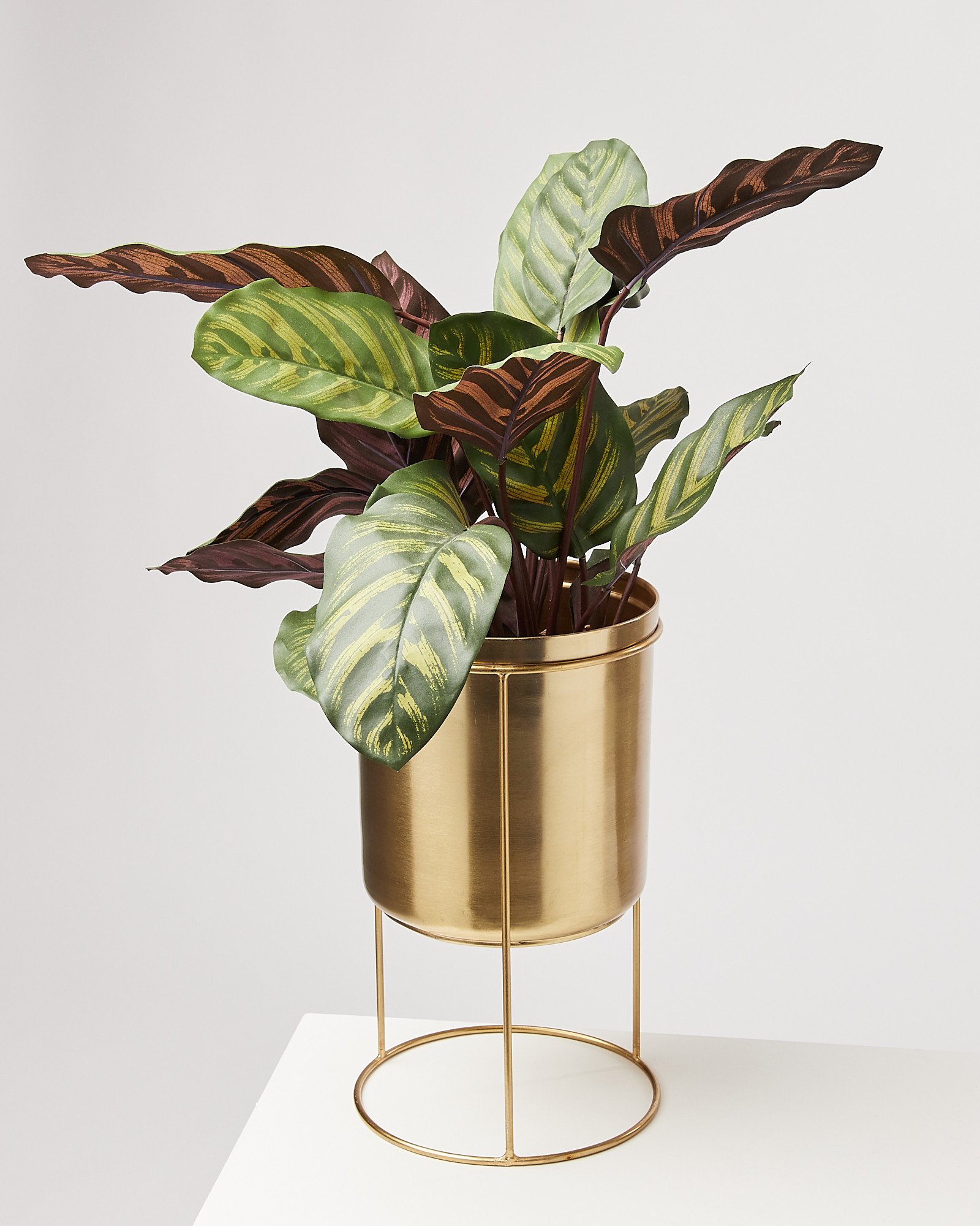 Gold Iron Plant Pot & Stand | Oliver Bonas