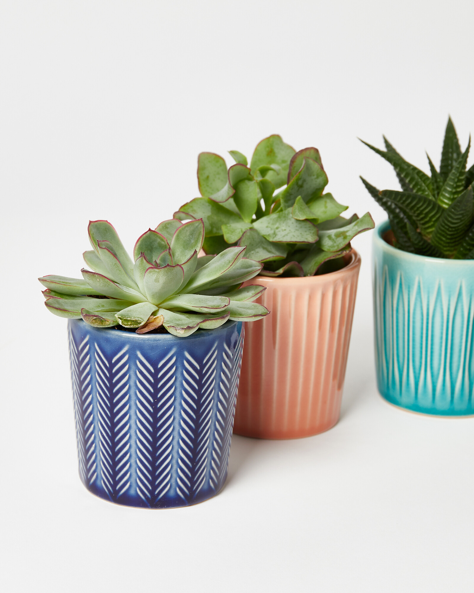 Mini Texture Ceramic Plant Pots Set of Four | Oliver Bonas