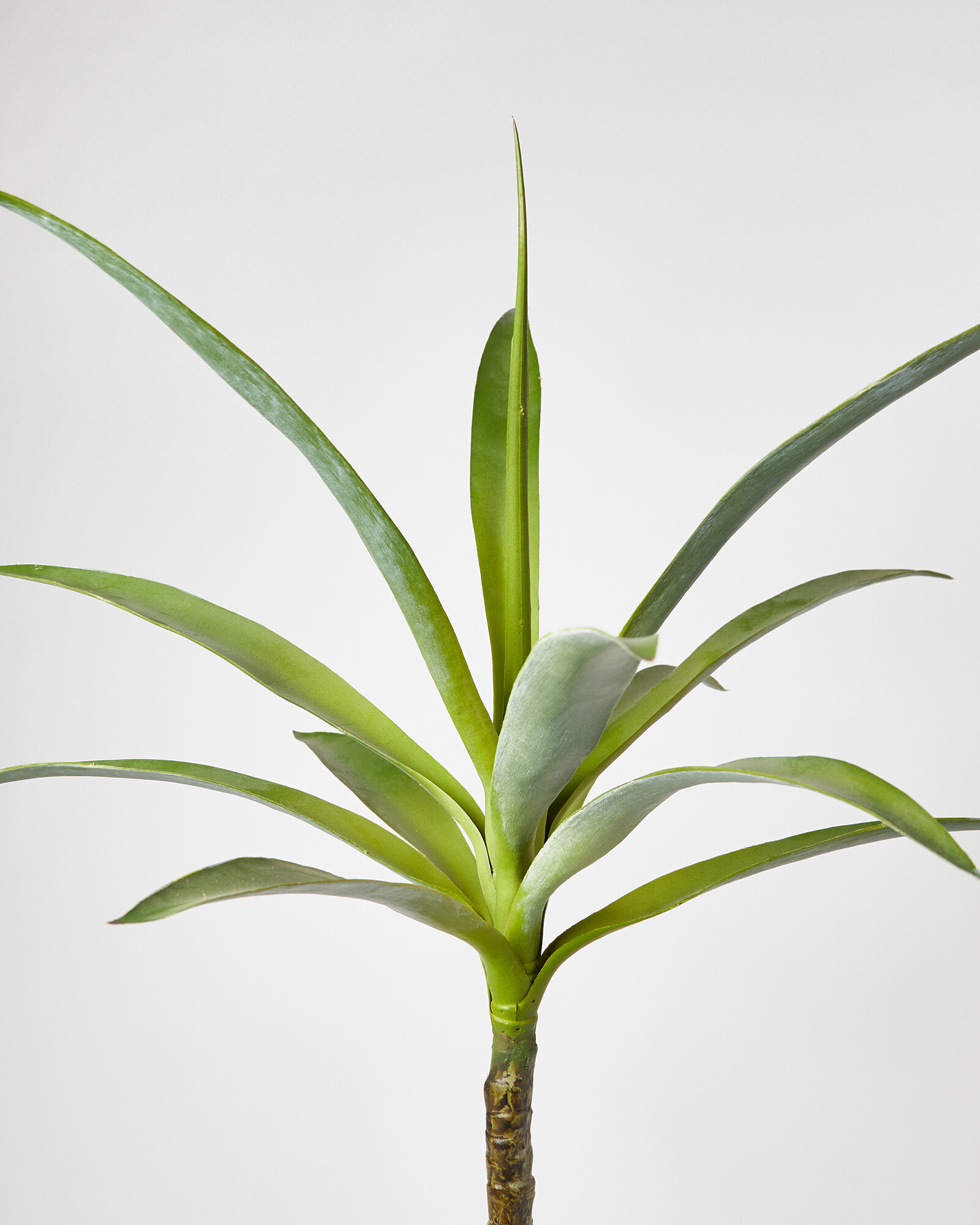 Yucca Single Artificial Plant | Oliver Bonas