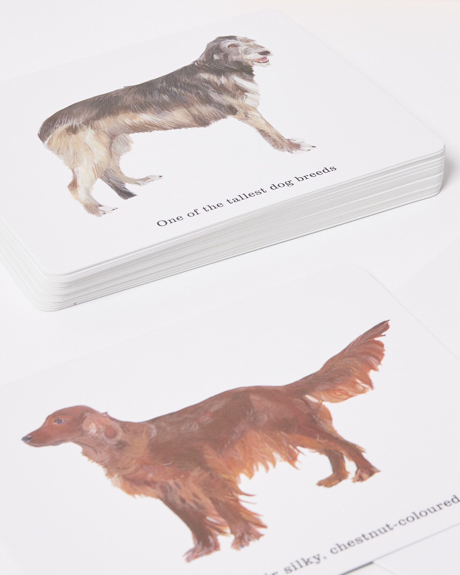 Do You Know Your Dogs Card Game | Oliver Bonas
