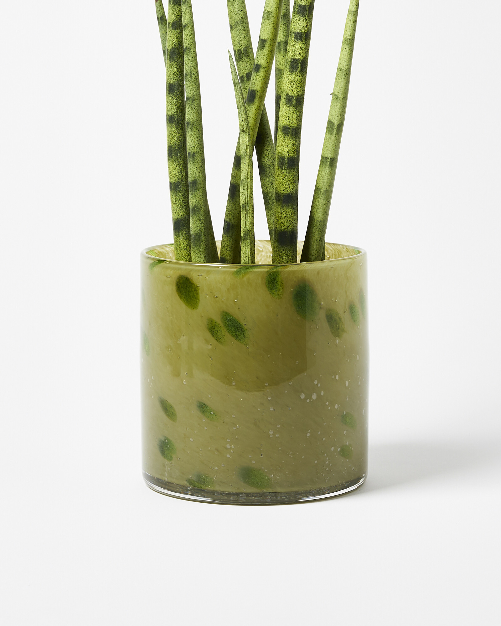 Zoja Green Glass Plant Pot Medium | Oliver Bonas