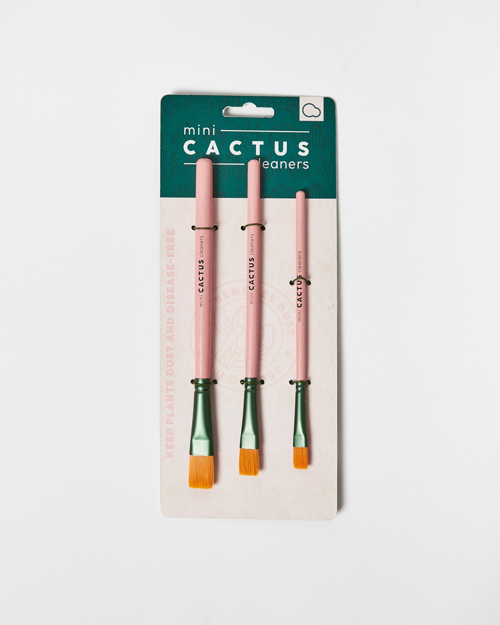 House Plant Pink Cactus Cleaners | Oliver Bonas