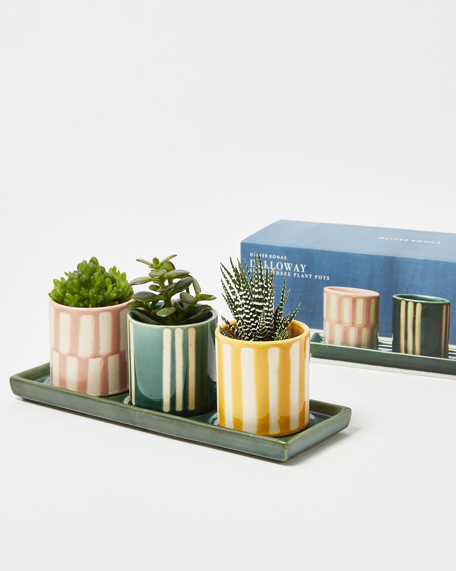 Dalloway Ceramic Mini Plant Pots Set of Three | Oliver Bonas