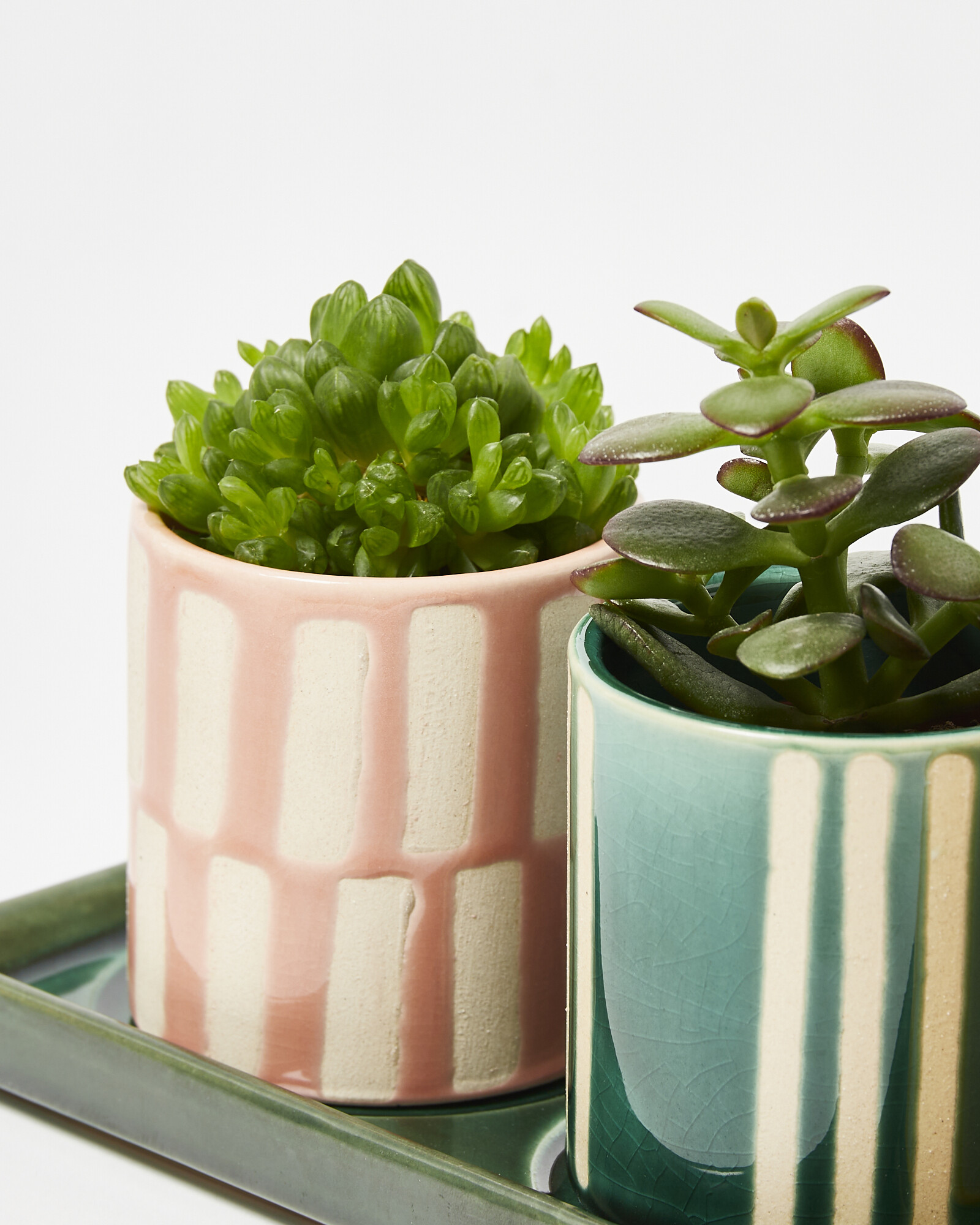 Dalloway Ceramic Mini Plant Pots Set of Three | Oliver Bonas