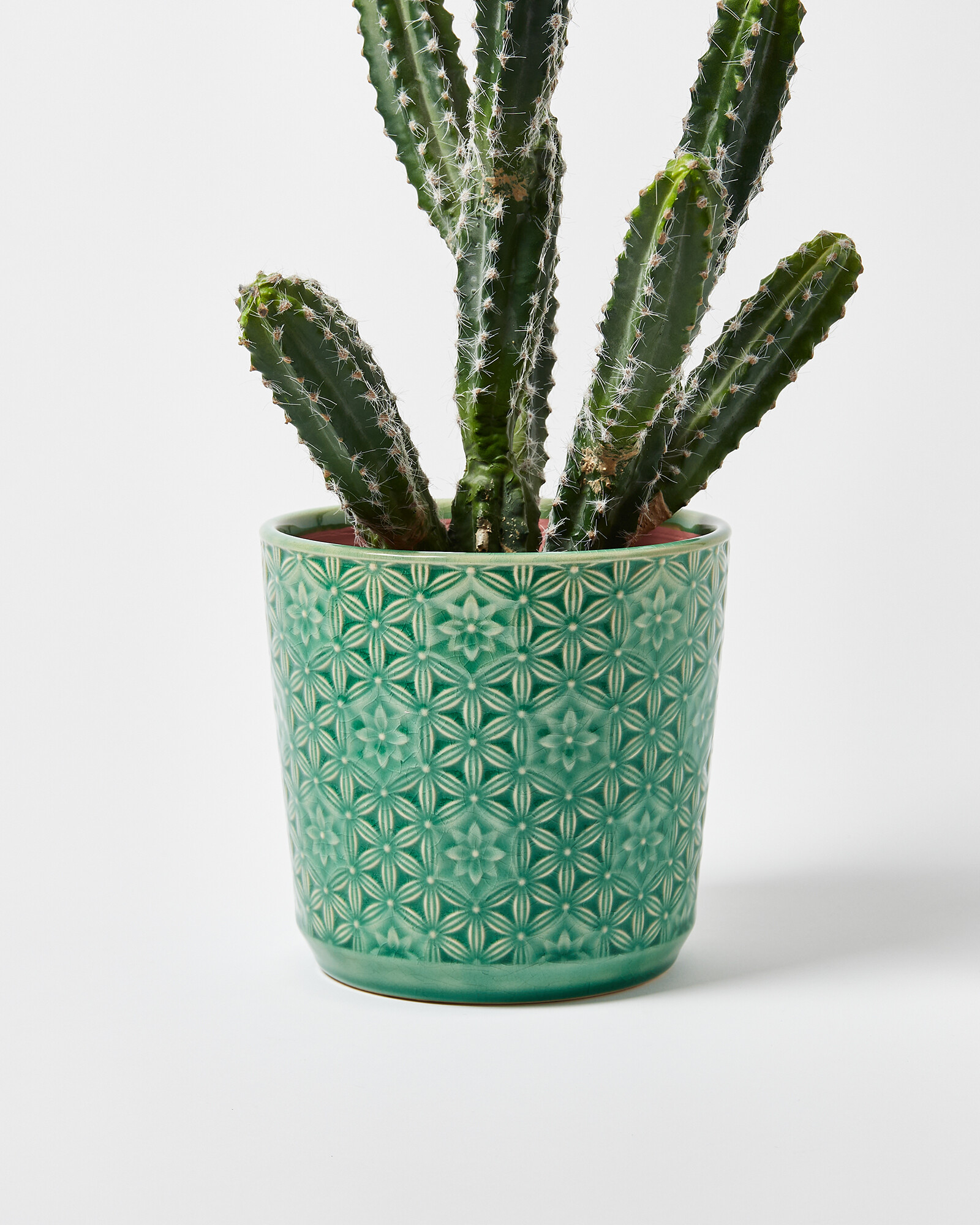 Daisy Ceramic Plant Pots | Oliver Bonas