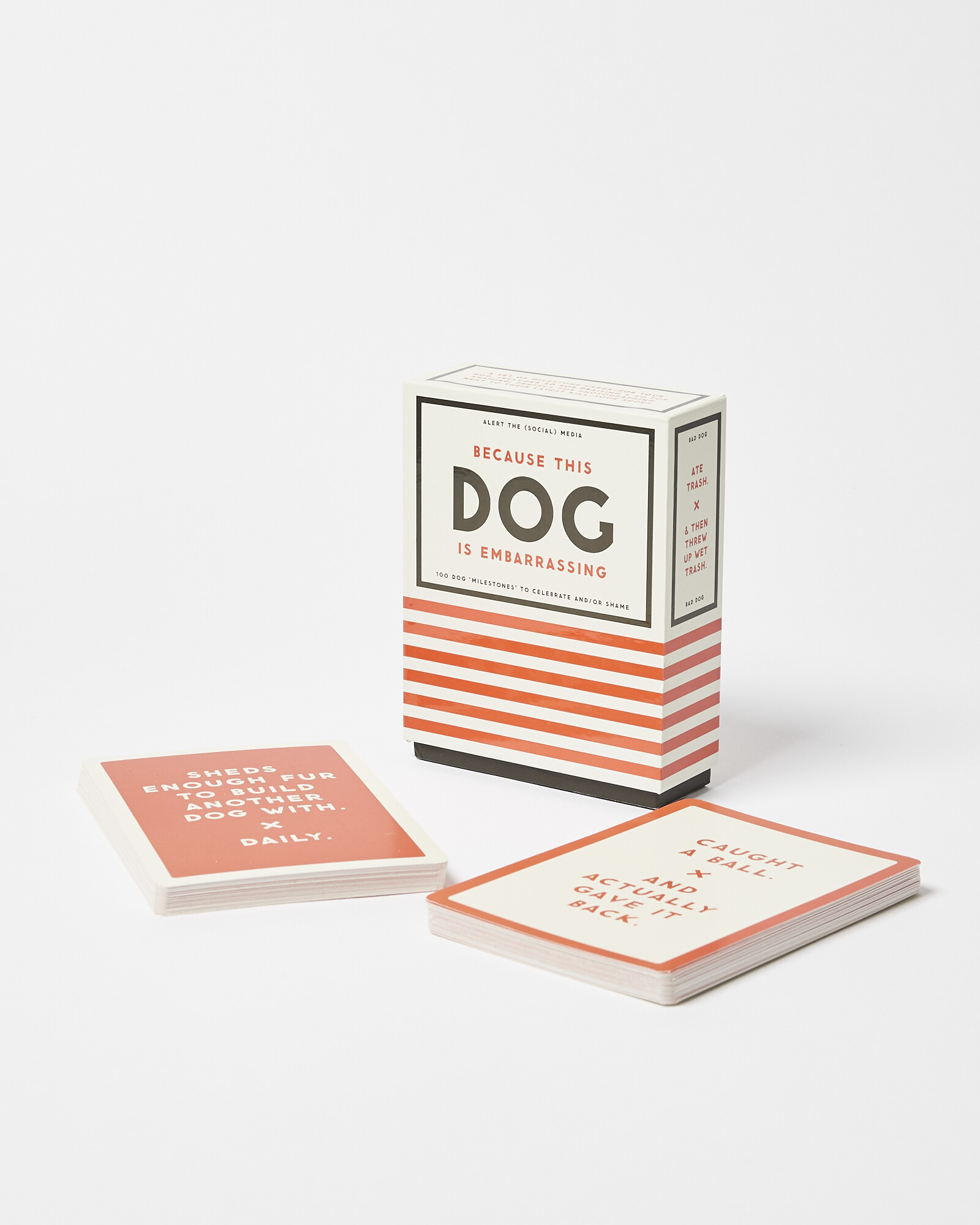 Pet Shame & Praise Dog Card Game | Oliver Bonas