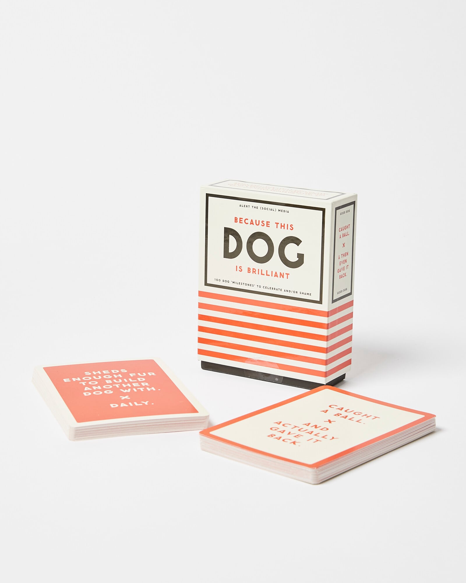 Pet Shame & Praise Dog Card Game | Oliver Bonas