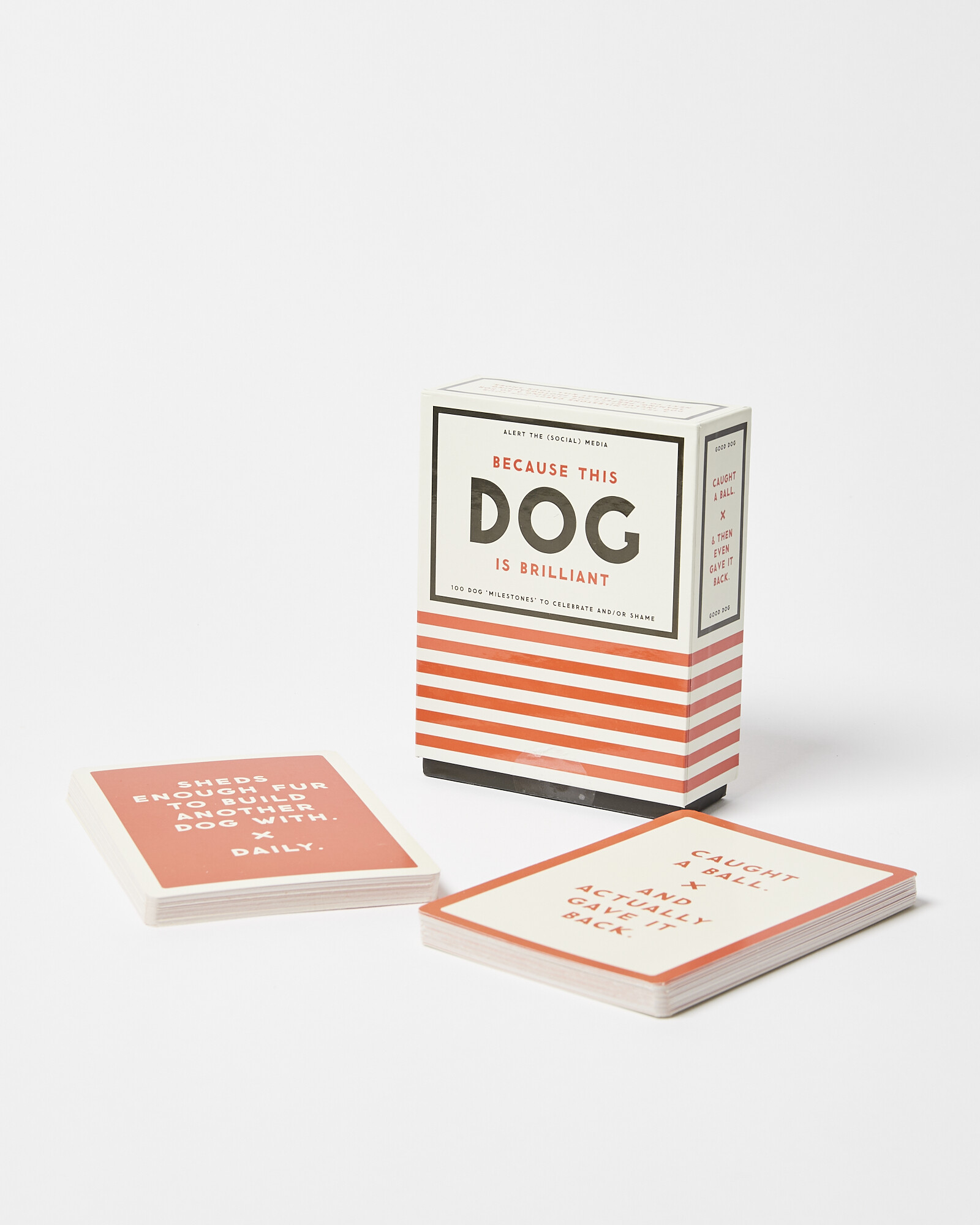 Pet Shame & Praise Dog Card Game | Oliver Bonas