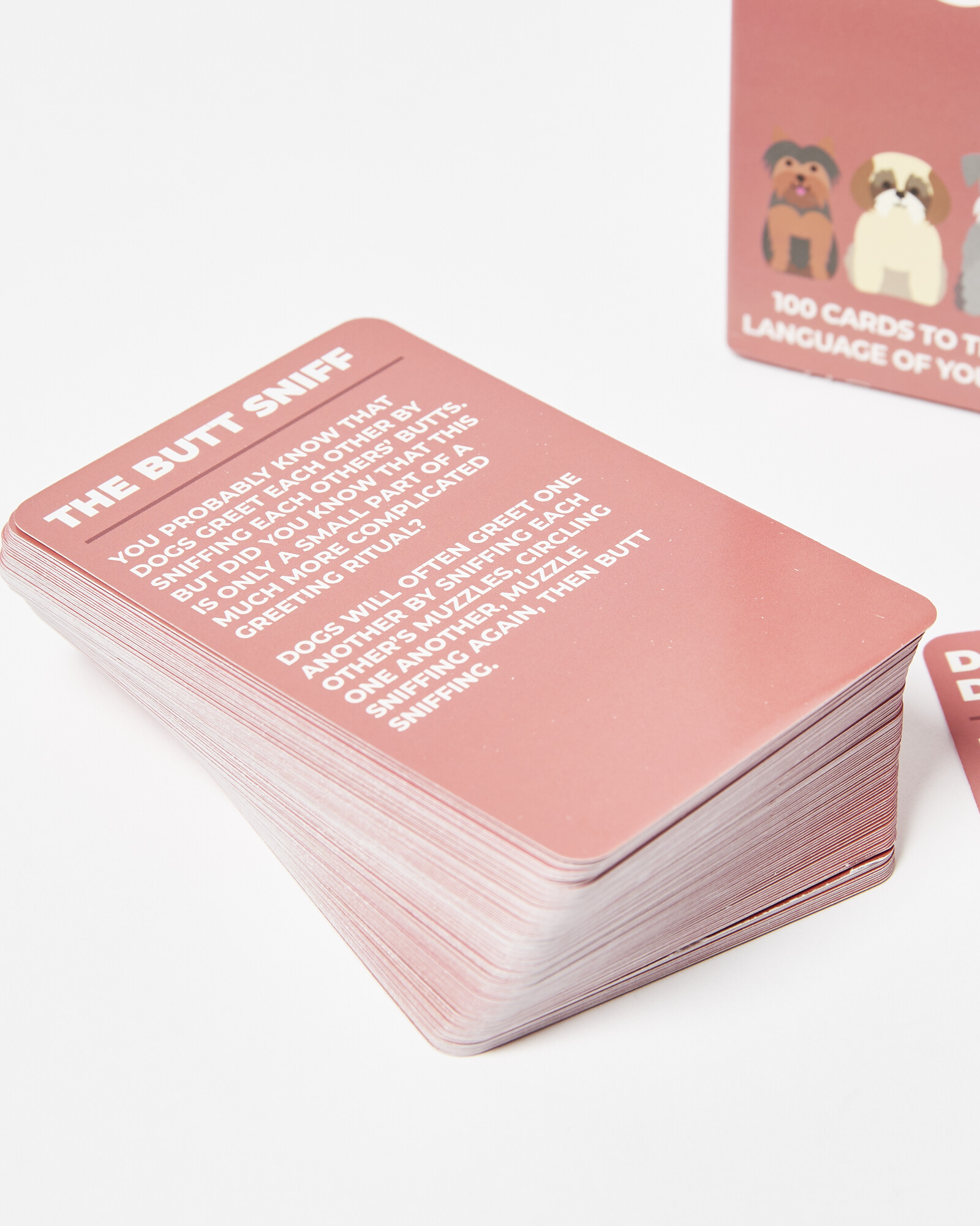 How To Speak Dog Cards | Oliver Bonas