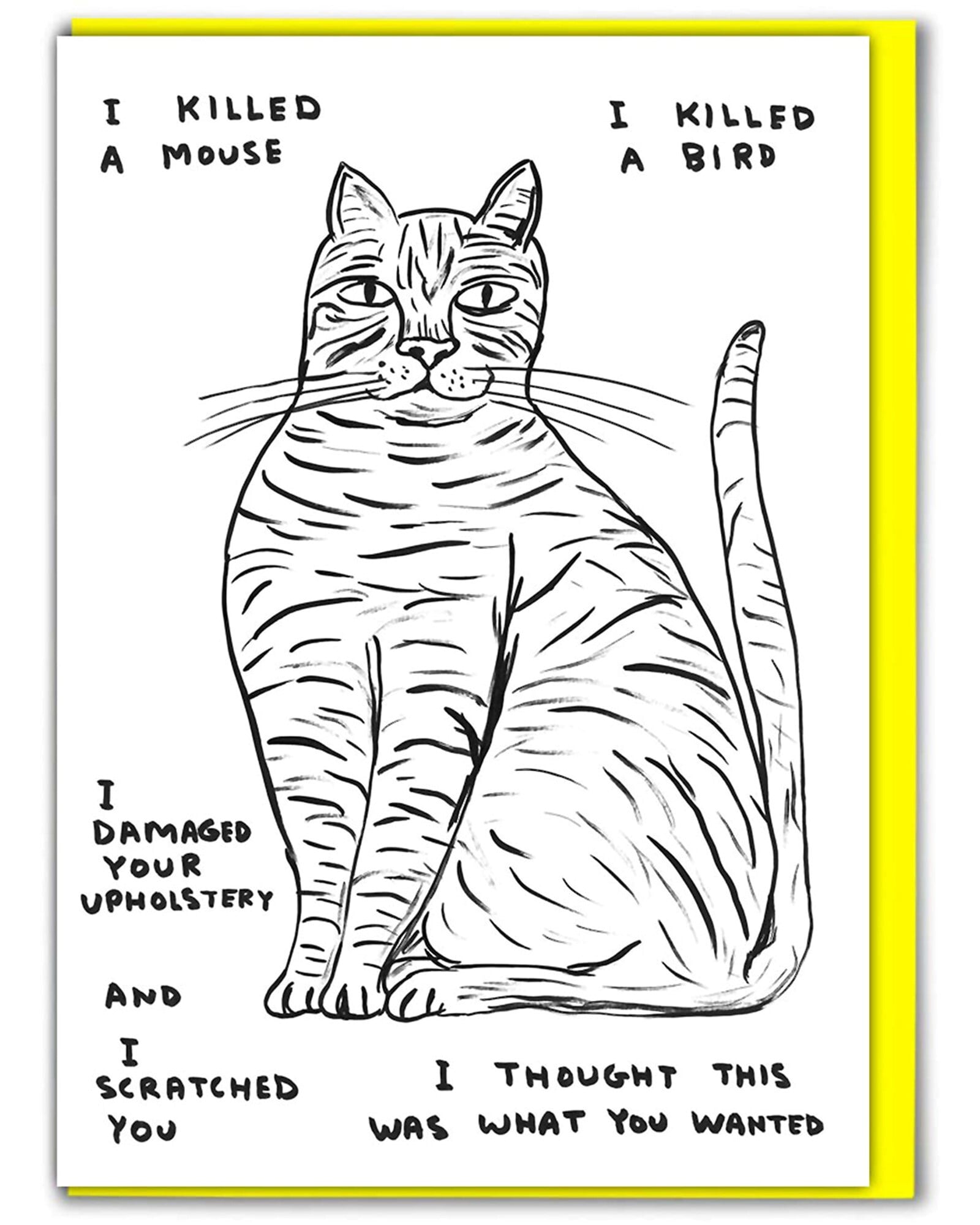 I Killed A Mouse Funny Card | Oliver Bonas