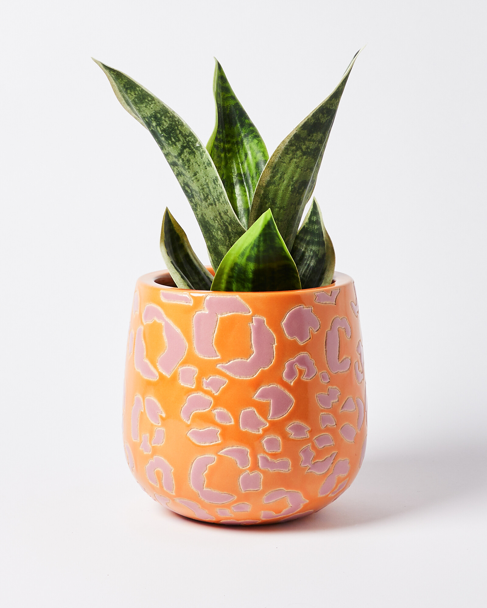 Kimbe Leopard Orange Plant Pot Medium | Oliver Bonas
