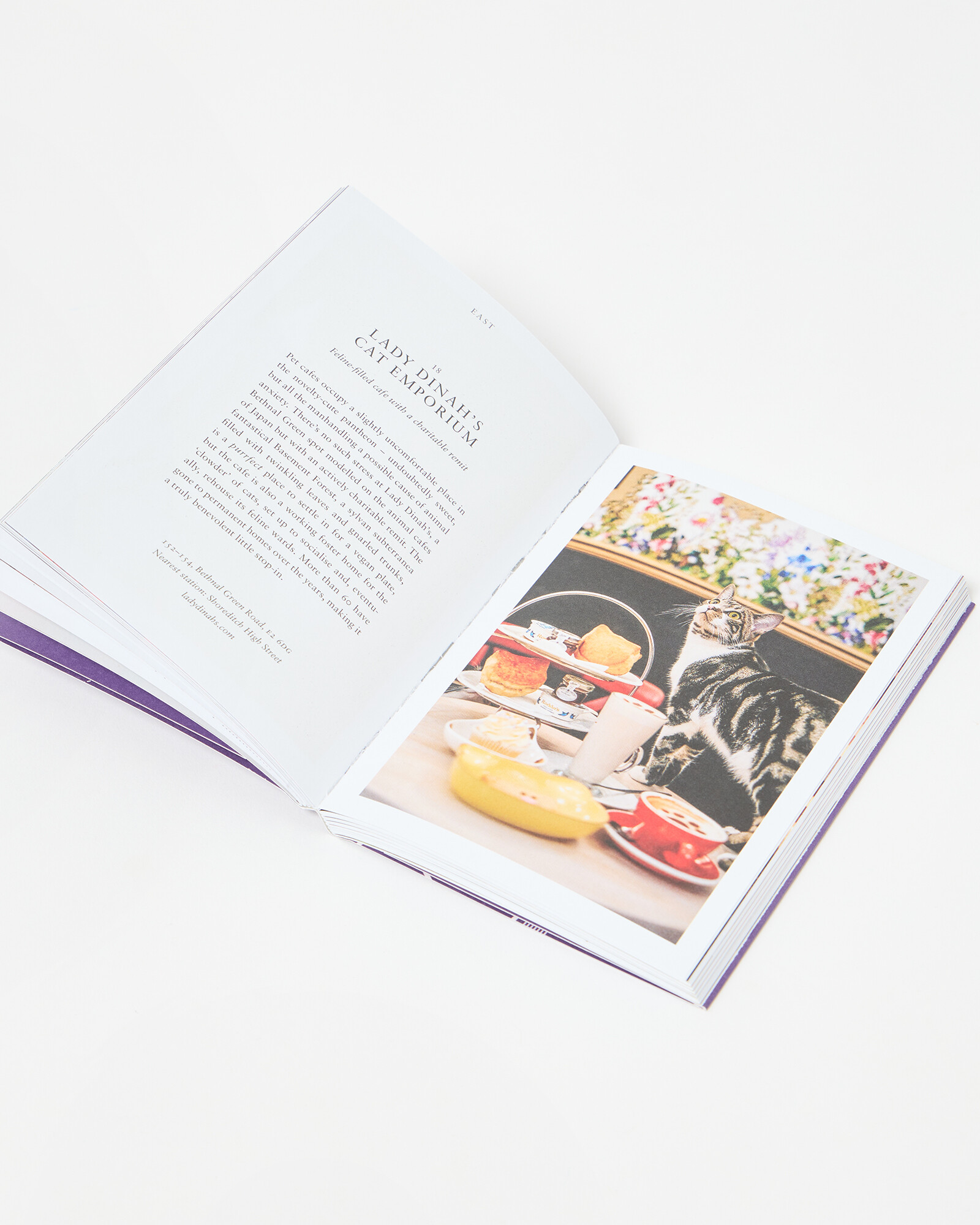 Guide to Weird London Book | Oliver Bonas