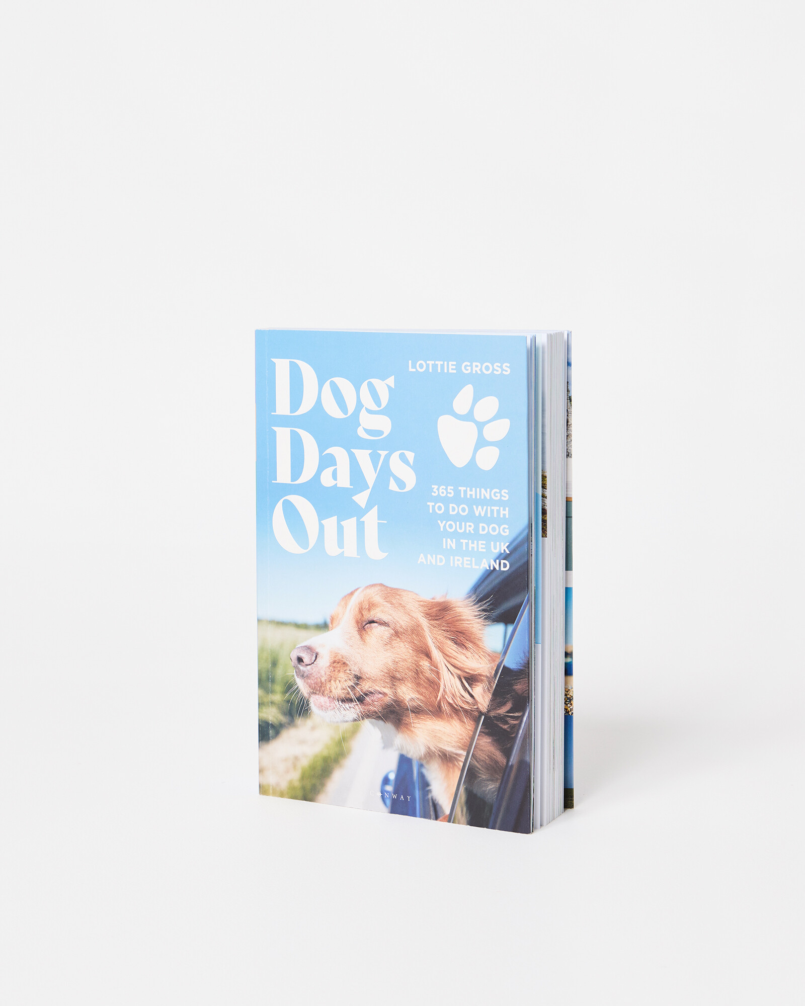Dog Days Out Book | Oliver Bonas