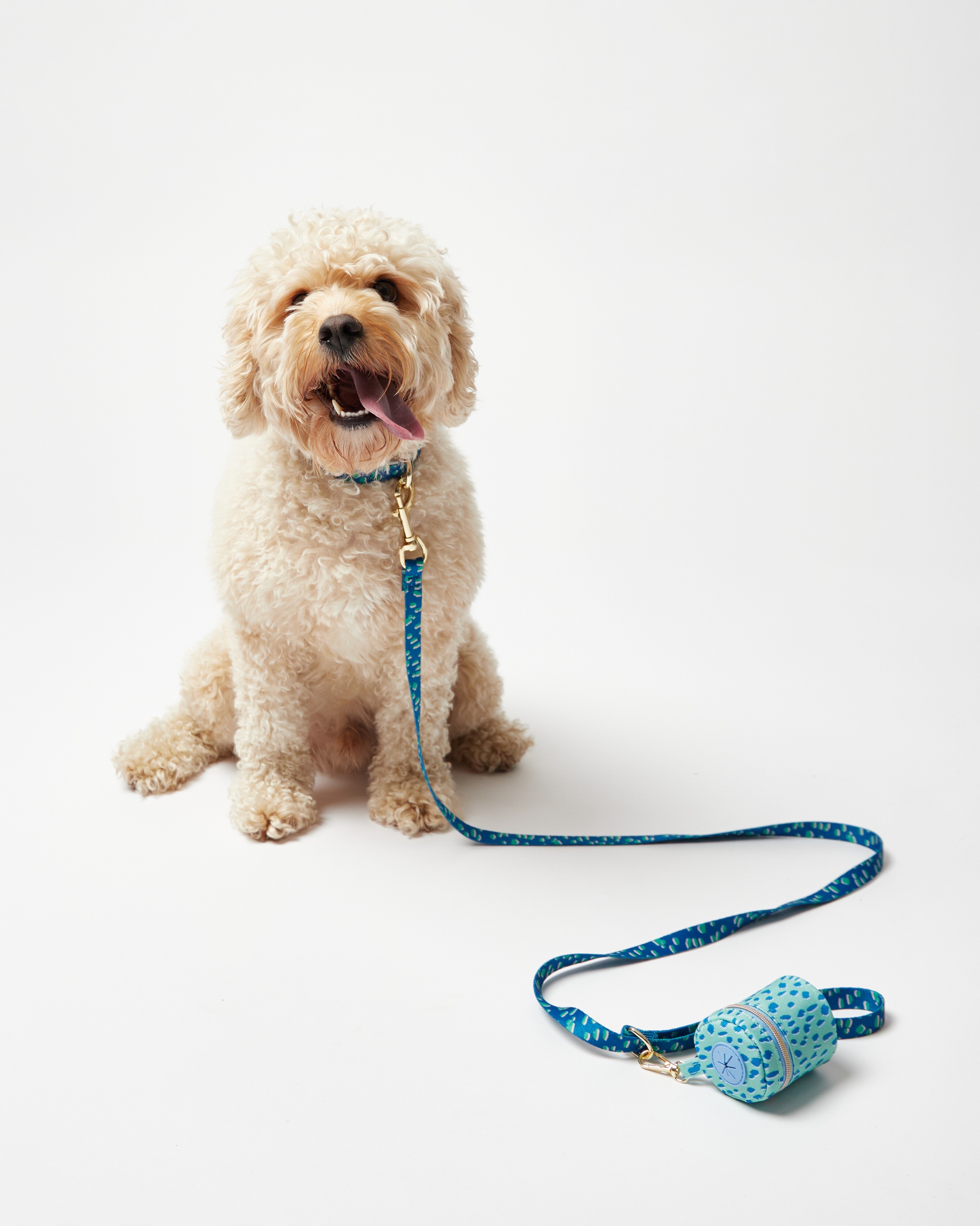 Blue Spotty Dog Poop Bag Holder | Oliver Bonas
