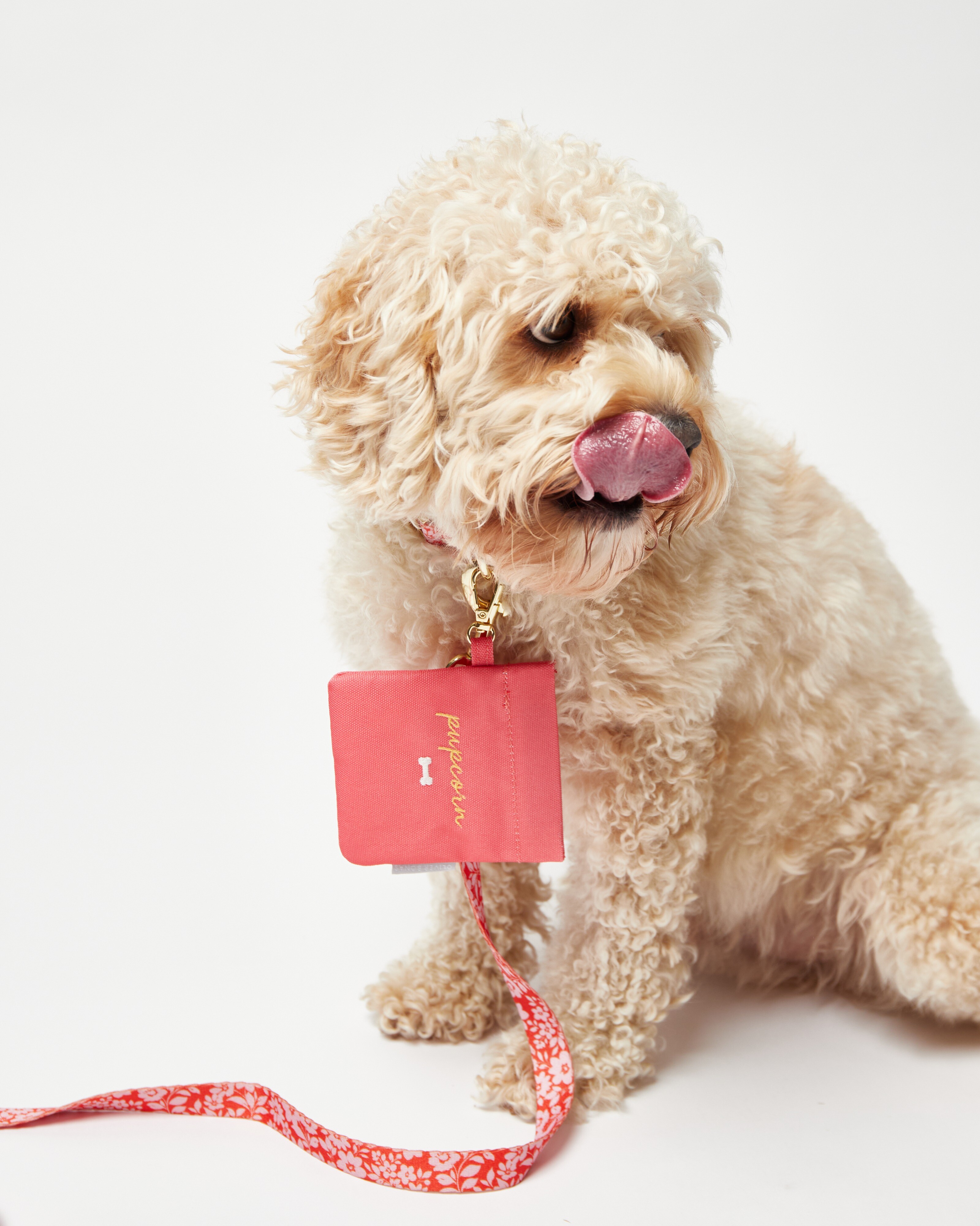 Pupcorn Red Dog Treat Bag Small | Oliver Bonas
