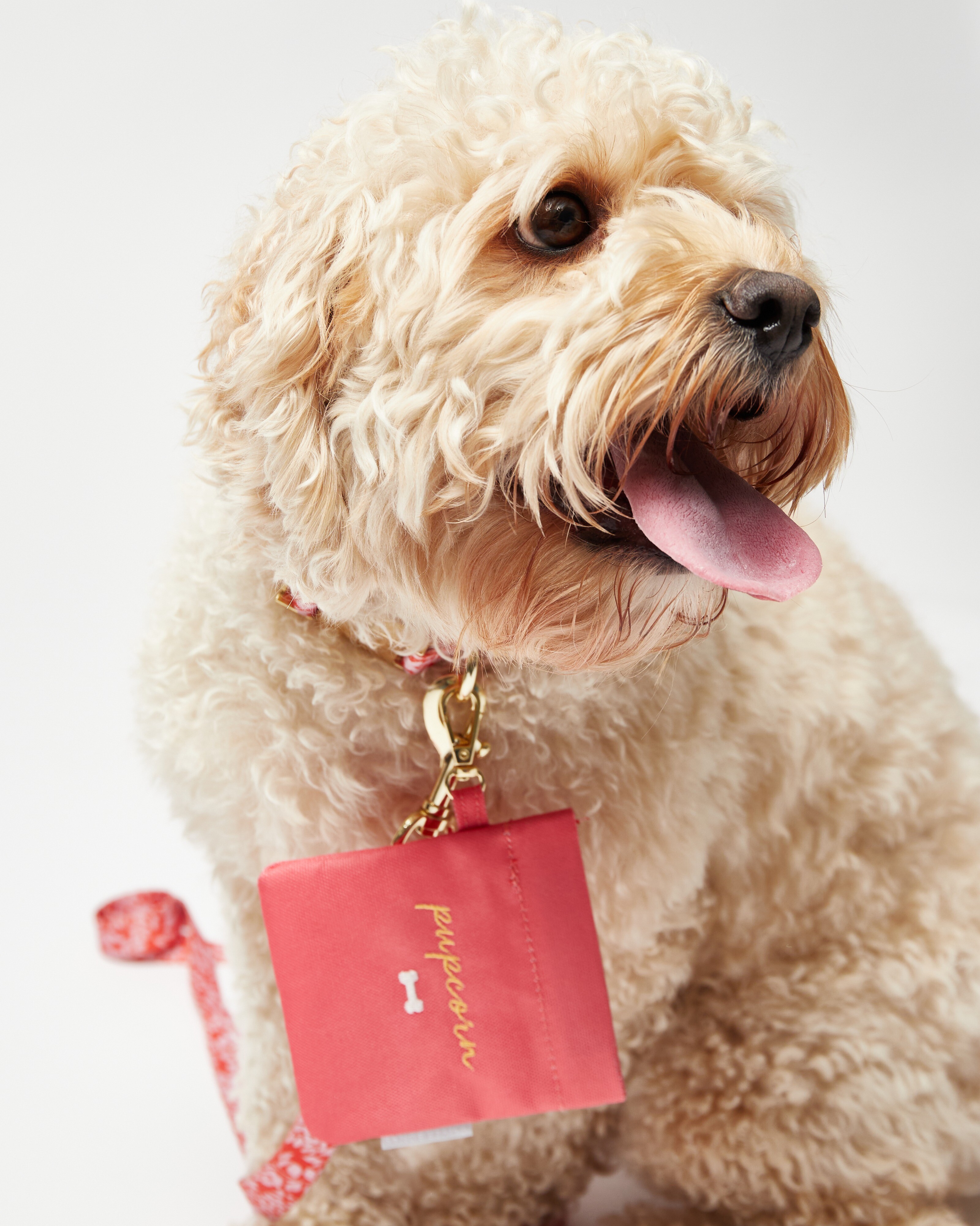 Pupcorn Red Dog Treat Bag Small | Oliver Bonas