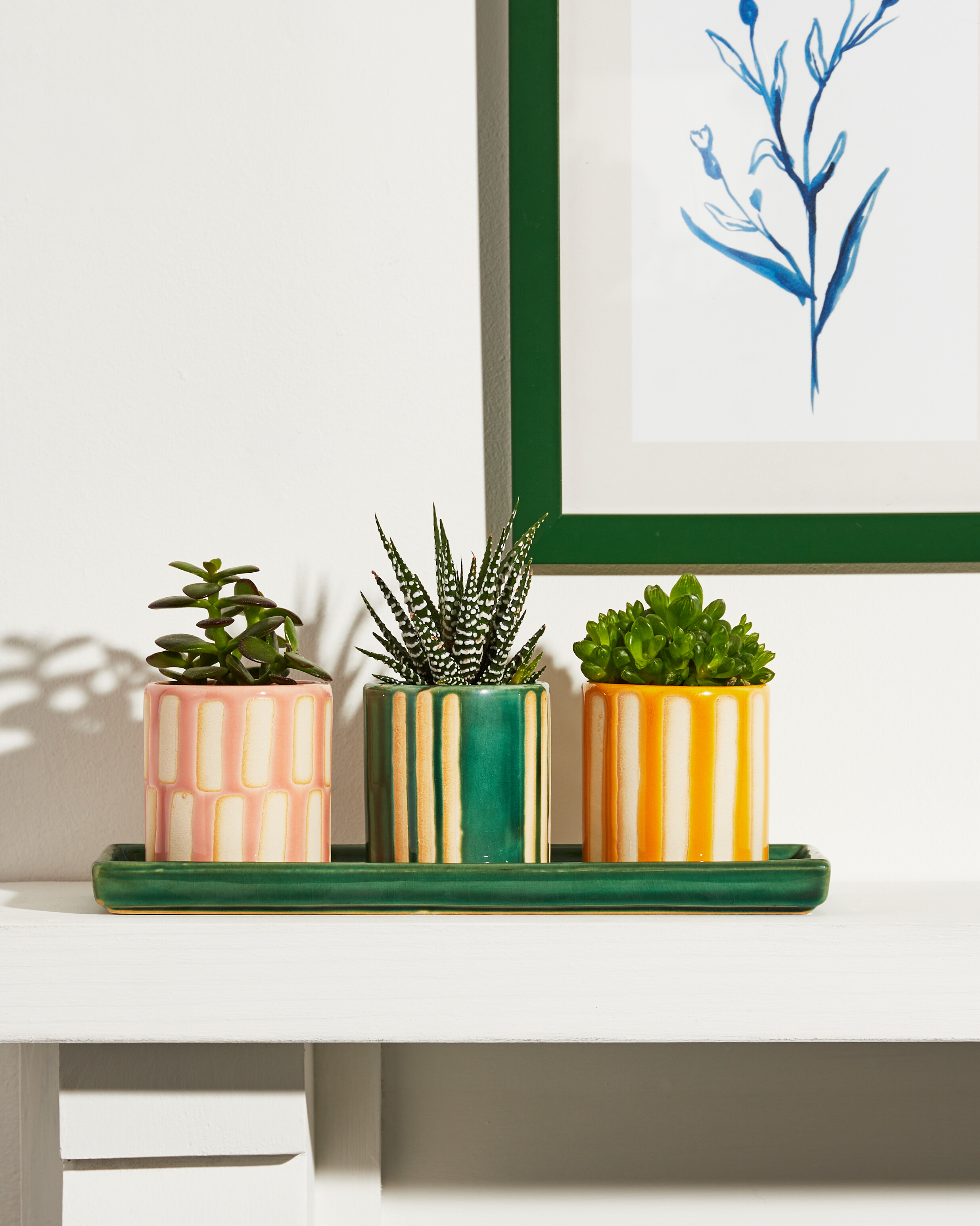 Dalloway Ceramic Mini Plant Pots Set of Three | Oliver Bonas