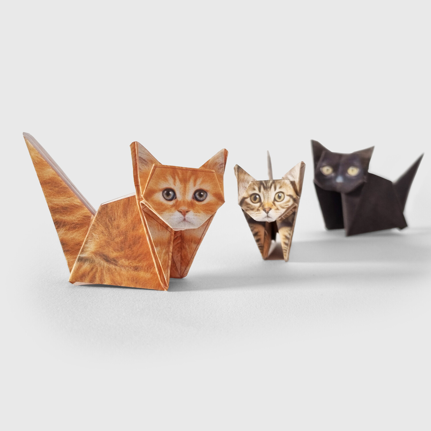 Paper Cats Origami Craft Kit | Oliver Bonas