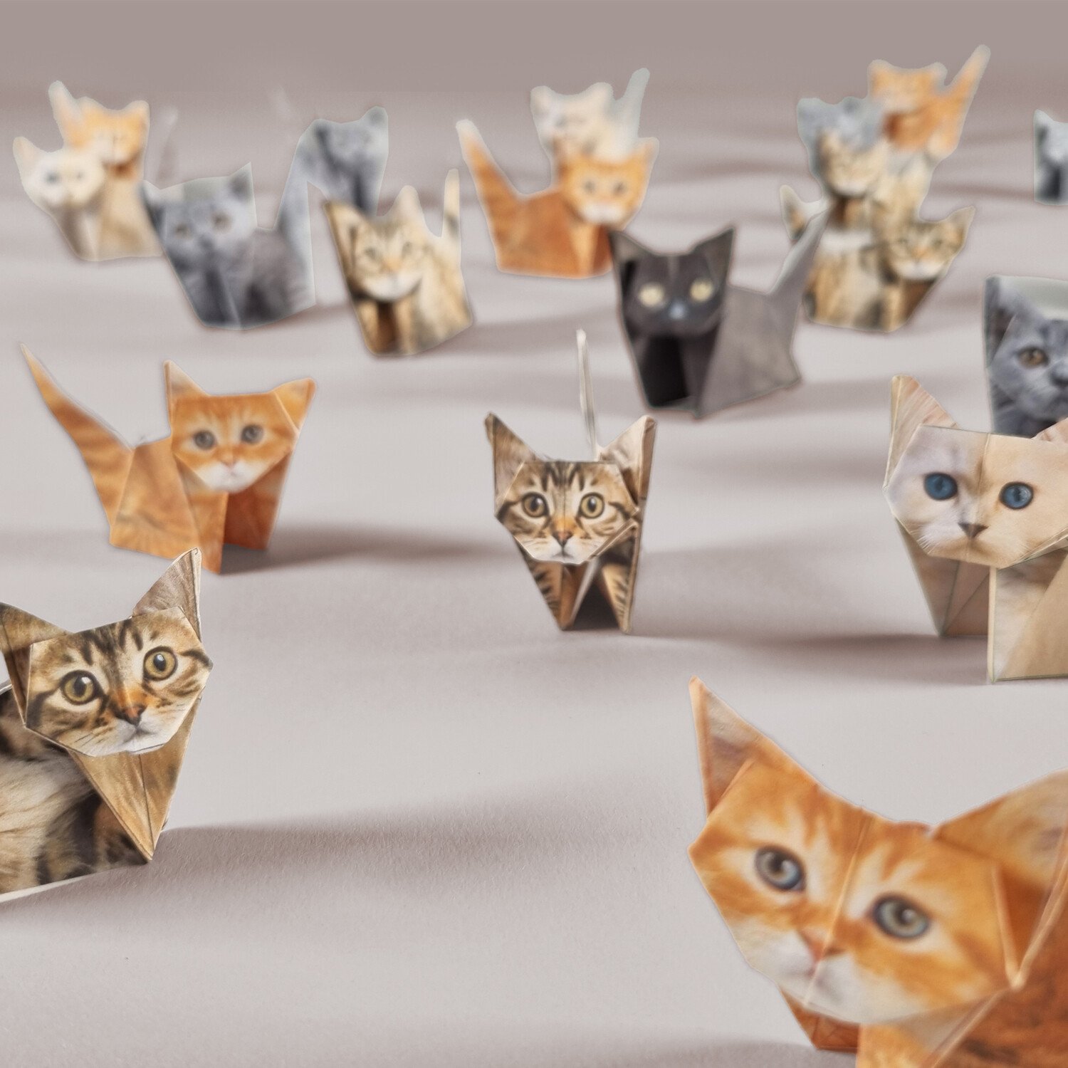 Paper Cats Origami Craft Kit | Oliver Bonas