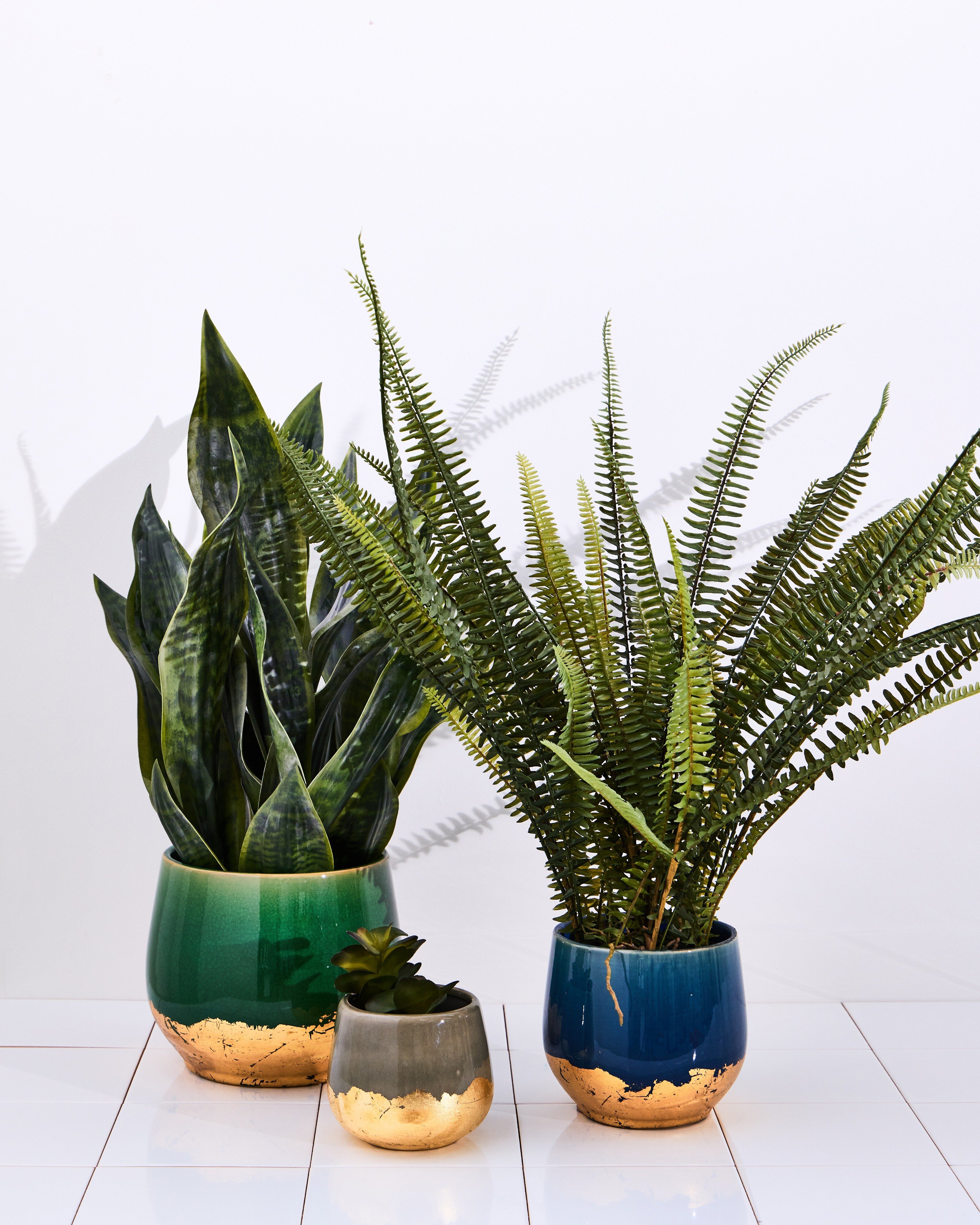 Palmer Green & Gold Foil Plant Pot Large | Oliver Bonas