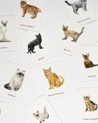 Cat-tastic! Board Game Mudpuppy