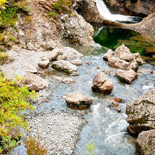 Lepored Hannah Hooper Hot